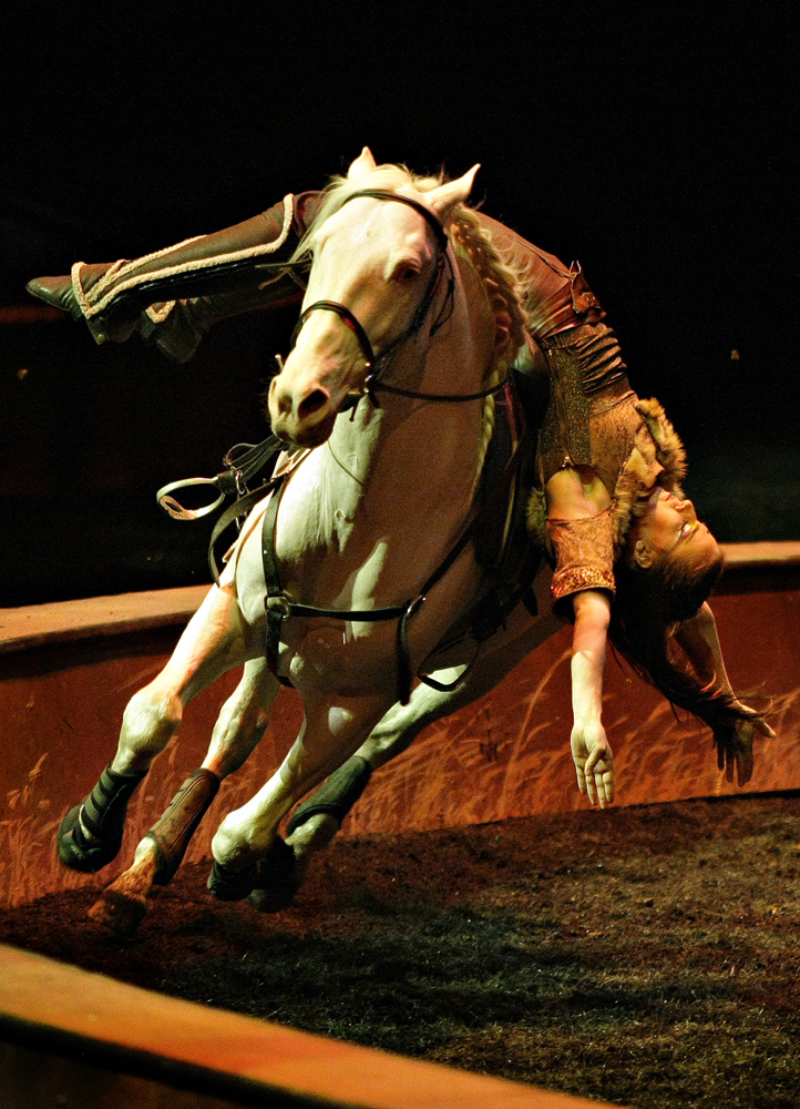 Cavalia Odysséo Montréal 2015 Spectacle Équestre Cheval | Sors-tu.ca