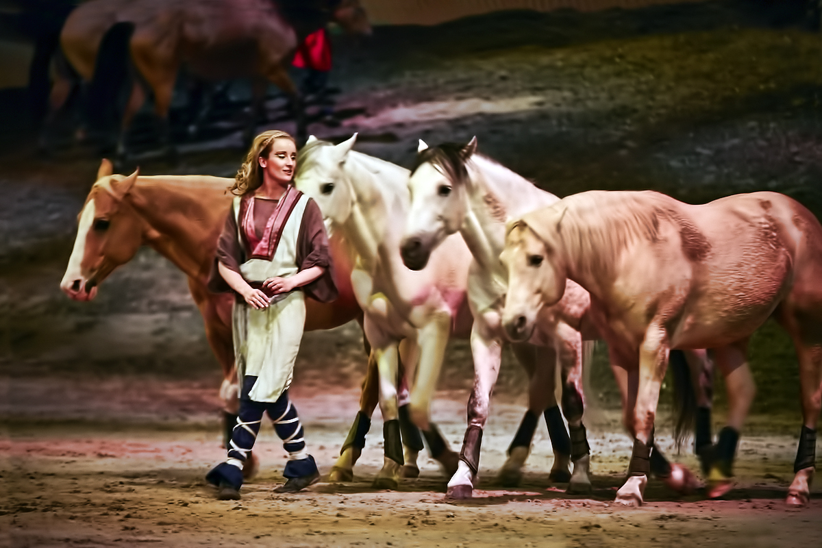 Cavalia Odysséo Montréal 2018 Pont Jacques-Cartier Spectacle Équestre ...