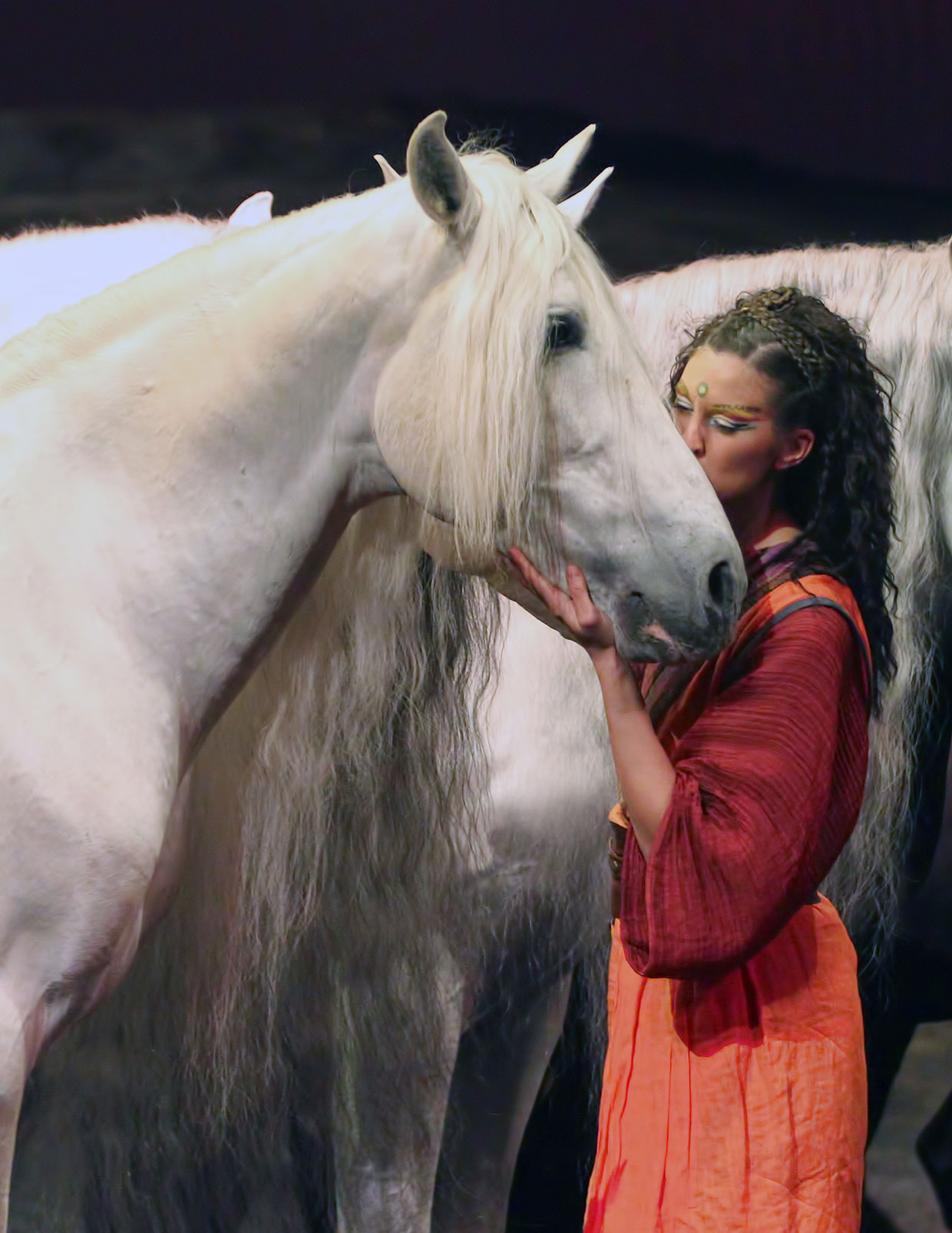 Cavalia Odysséo Montréal 2018 Pont Jacques-Cartier Spectacle Équestre ...